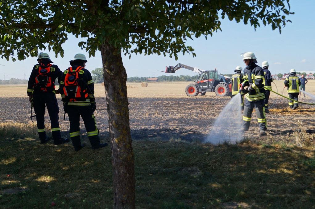 Flächenbrand in Dedendorf – Feuerwehren der SG Hoya
